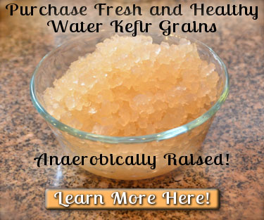 Water-Kefir-Ad-Divine-Healt - Delicious Obsessions® | Real Food, Gluten ...