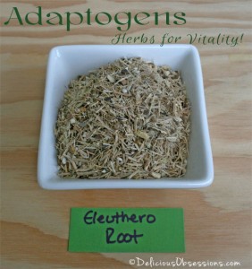 Adaptogens: Herbs for Vitality - Eleuthero Root