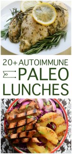 20+ AIP Lunches